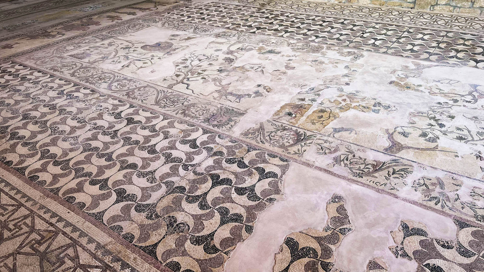 Things to Do in Paphos, Cyprus: Your Complete Guide - Ben In Wanderland